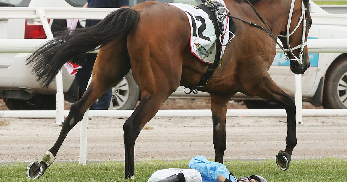 Regal Monarch Dies After Horror Melbourne Cup Day Fall At Flemington ...
