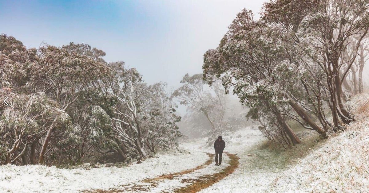 Behold These Breathtaking Pictures Of Aussie Summer Snow | HuffPost ...