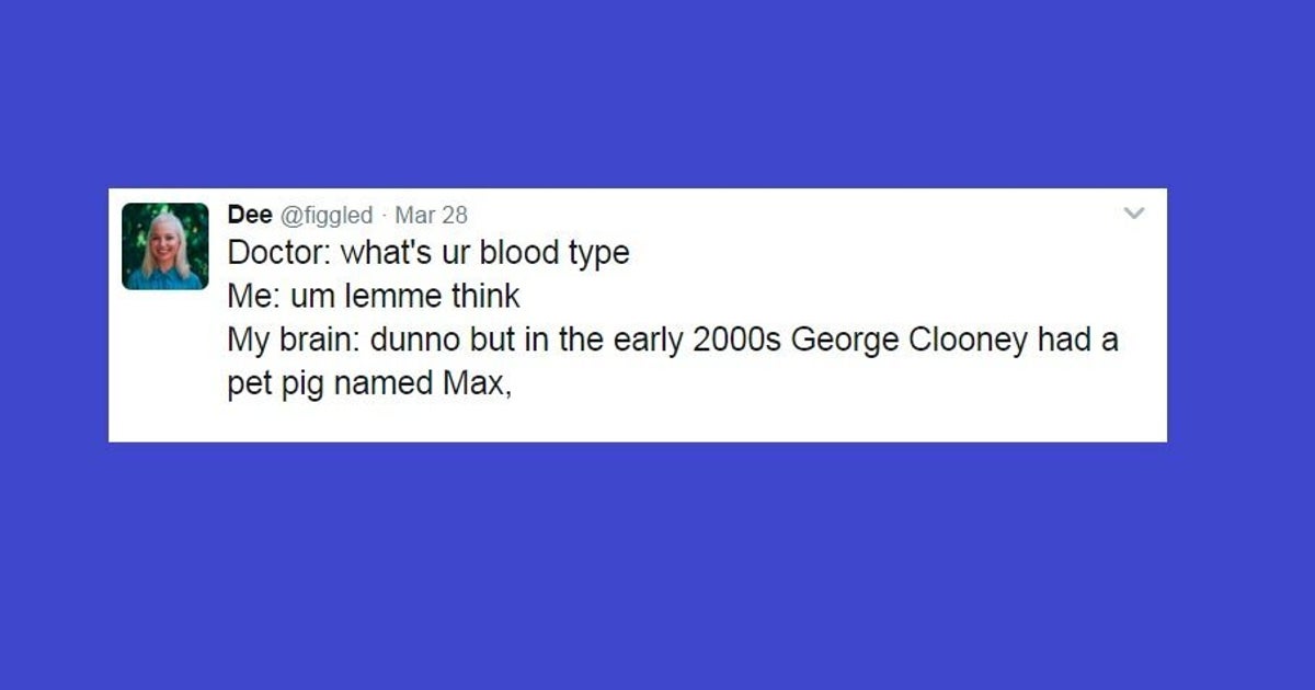 The Funniest Tweets From Australian Twitter This Week | HuffPost Life