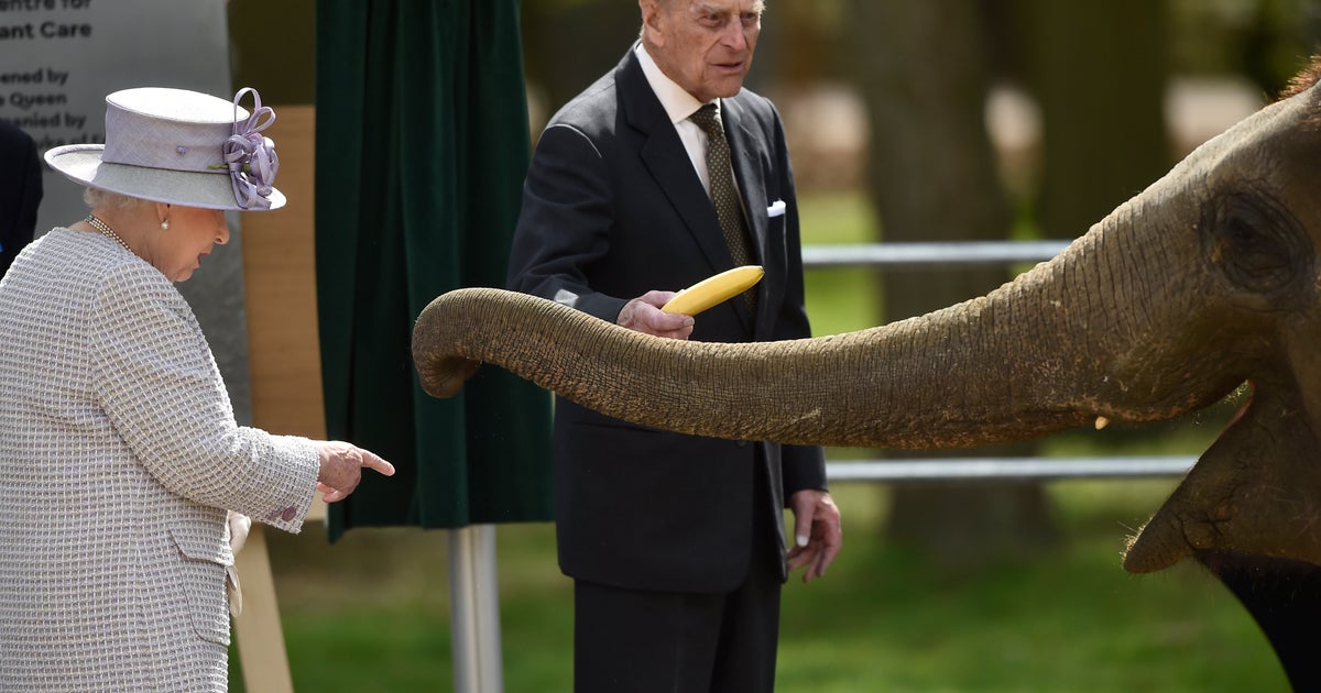 This Elephant Just Snatched A Banana From Queen Elizabeth II | HuffPost ...