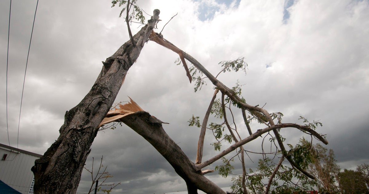 Queensland Cleans Up After Wild 'Mini-Cyclone' | HuffPost News