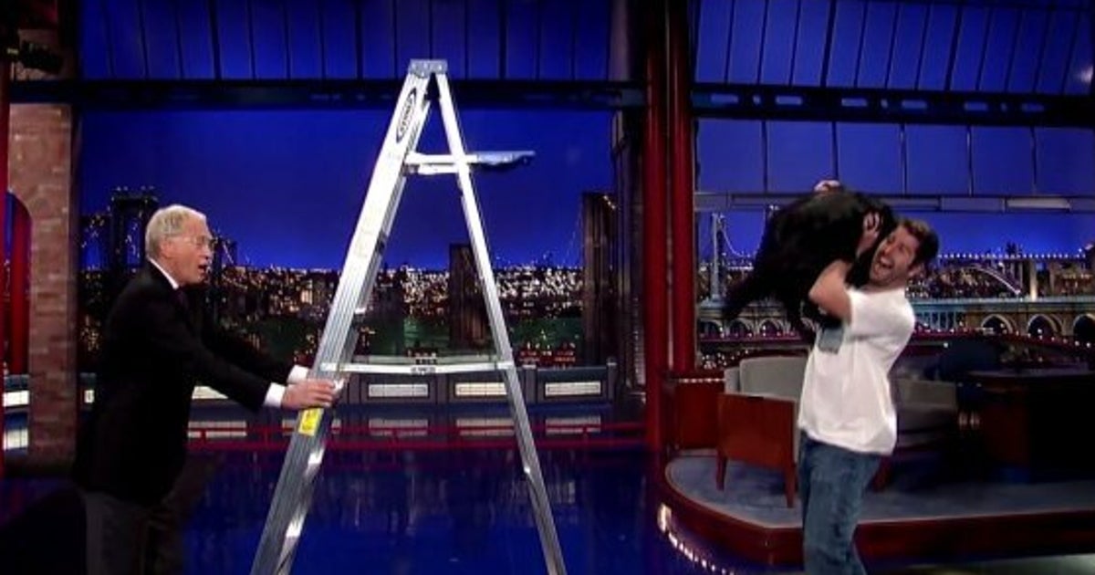 Lexi, Calgary Rescue Dog, Impresses On David Letterman Show (VIDEO ...