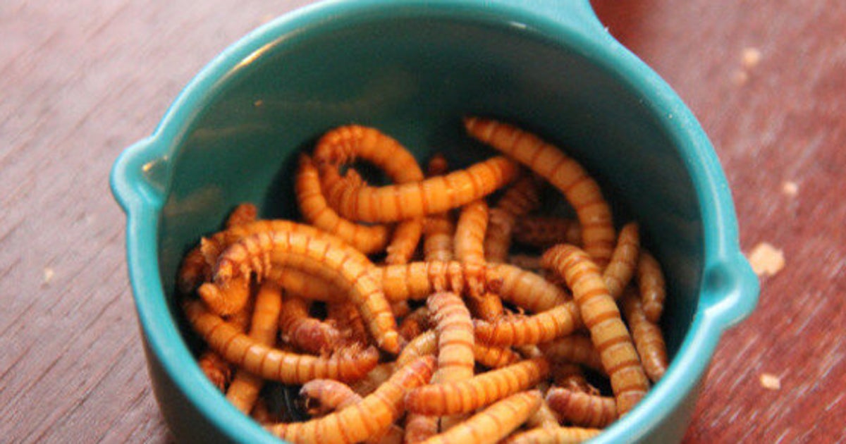 Critters That Might Be Lurking in Your Food | HuffPost Life