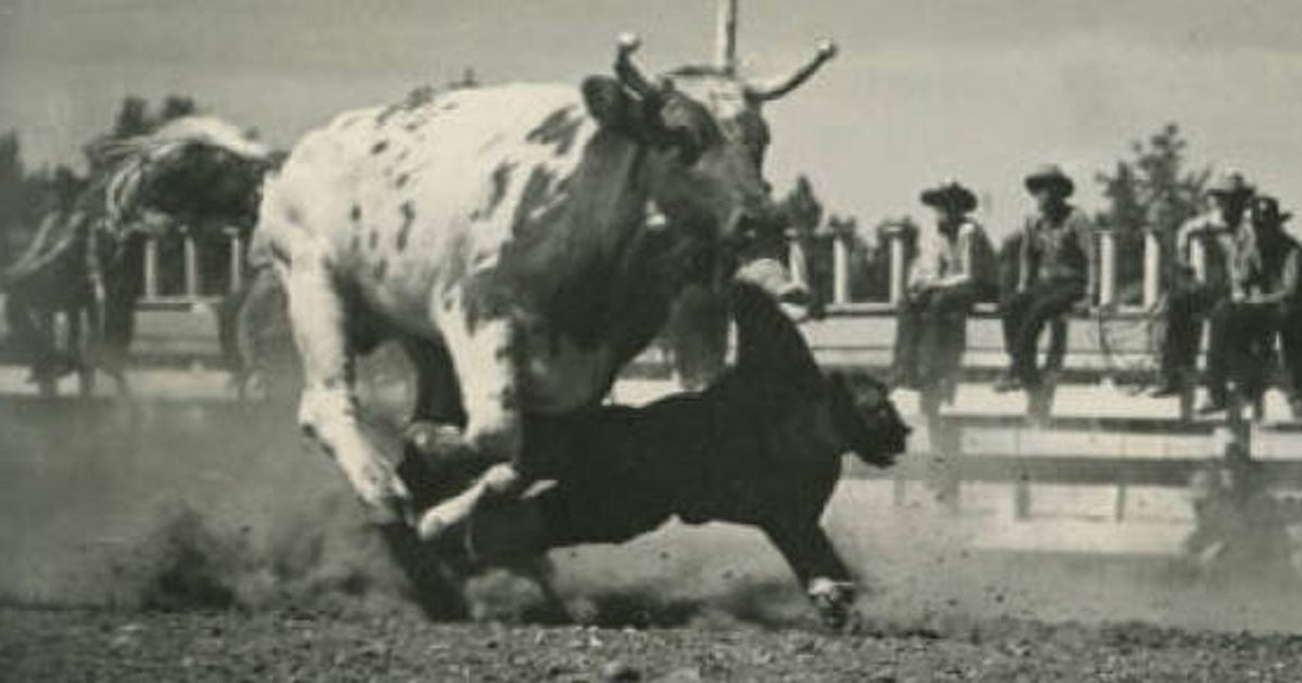 Old Calgary Stampede Photos Show Just How Far It's Come Over Time ...