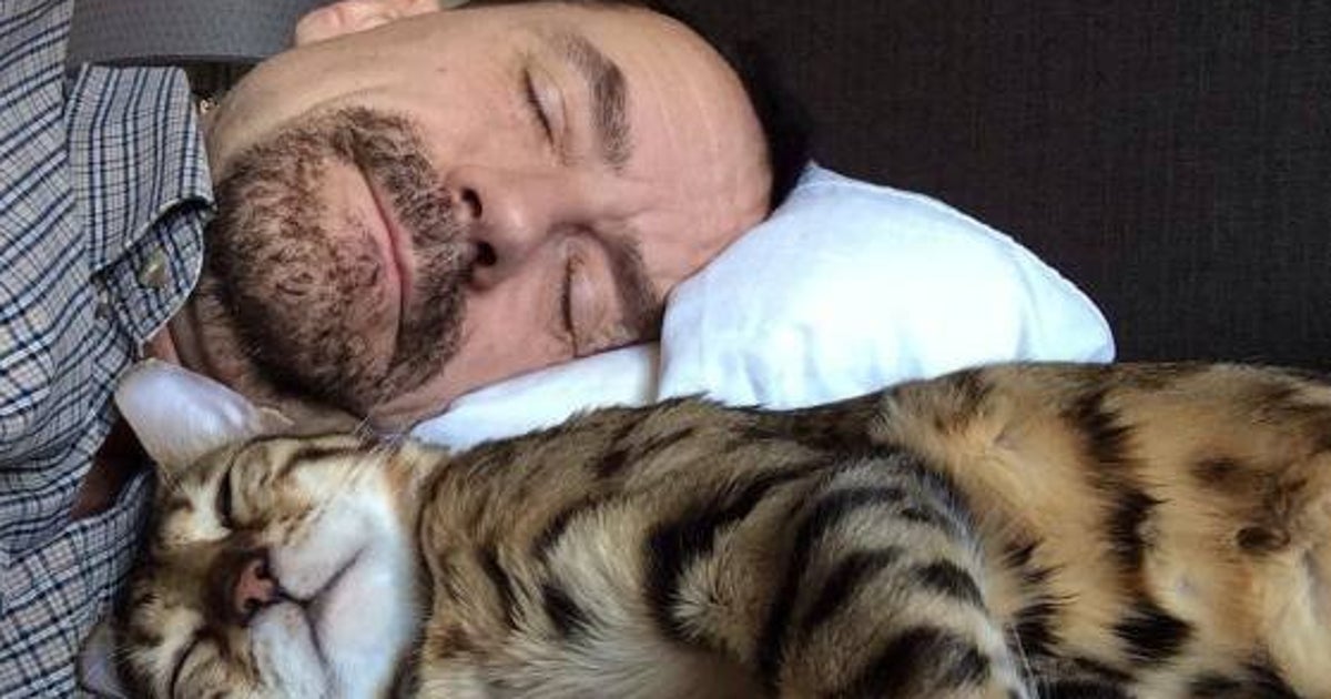 Cat Dude Pictures Put That Whole 'Cat Lady' Thing To Rest | HuffPost Life