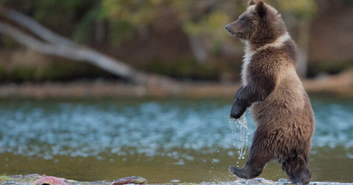 Alberta Photographer Of The Month: Pat Roque (PHOTOS) | HuffPost Alberta