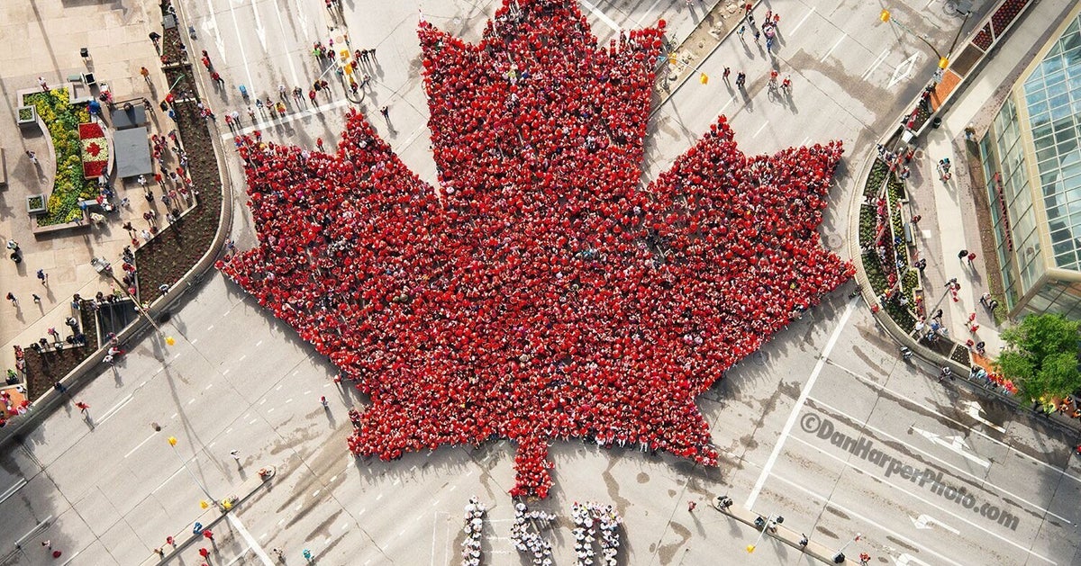 Winnipeg's 'Living Maple Leaf' Is An Exceptional Canada 150 Tribute ...