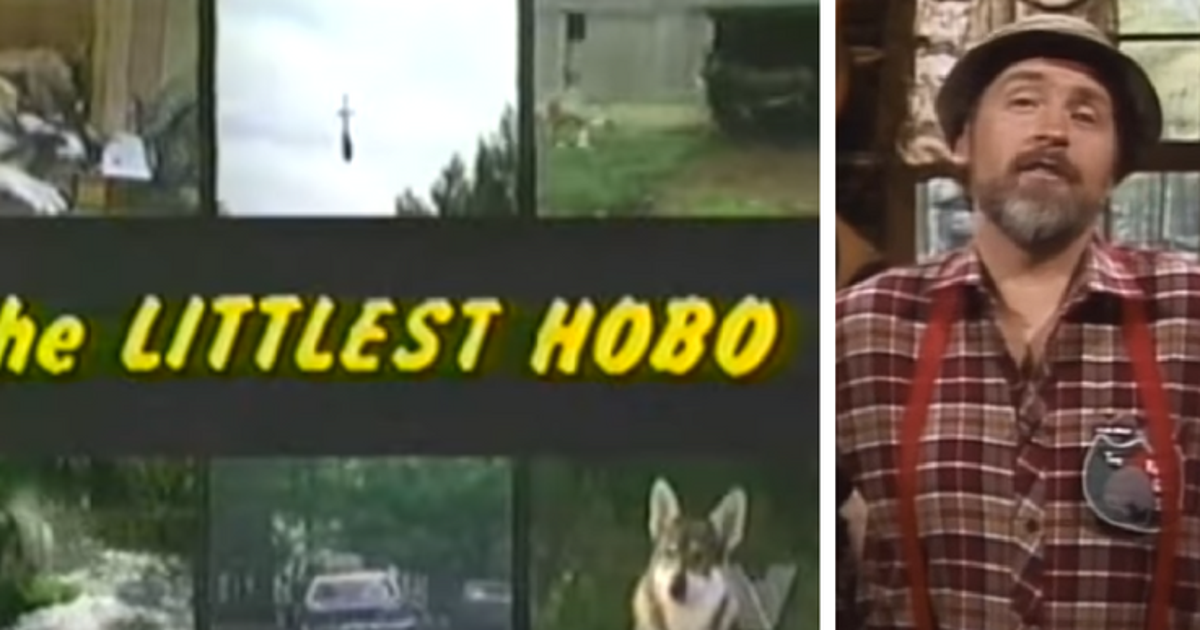 Netflix Should Spend $500M On 'Insane Season' Of 'Littlest Hobo ...