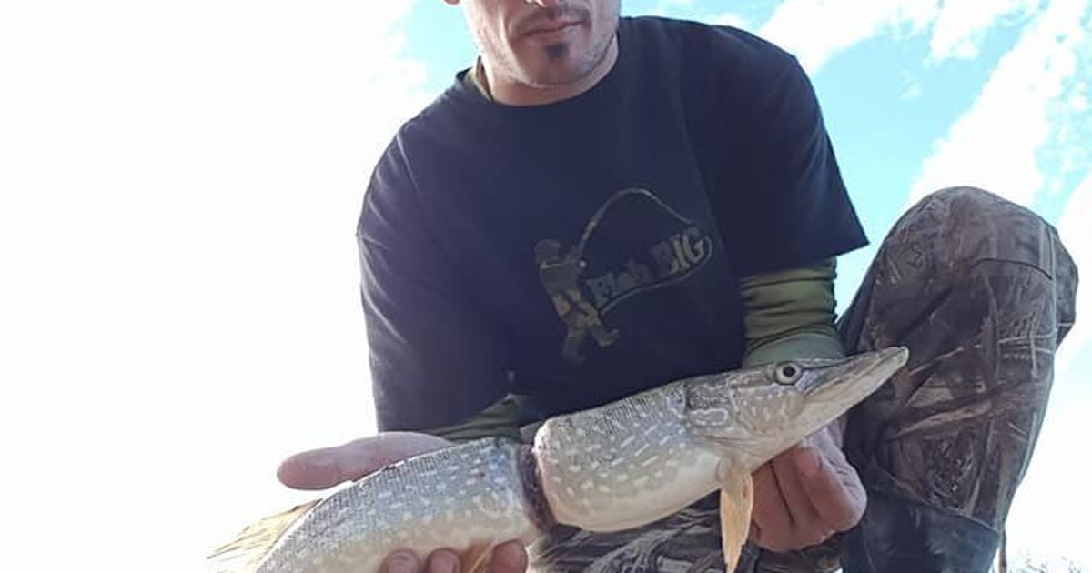 Alberta Fisherman Catches Northern Pike With Powerade Wrapper Stuck ...