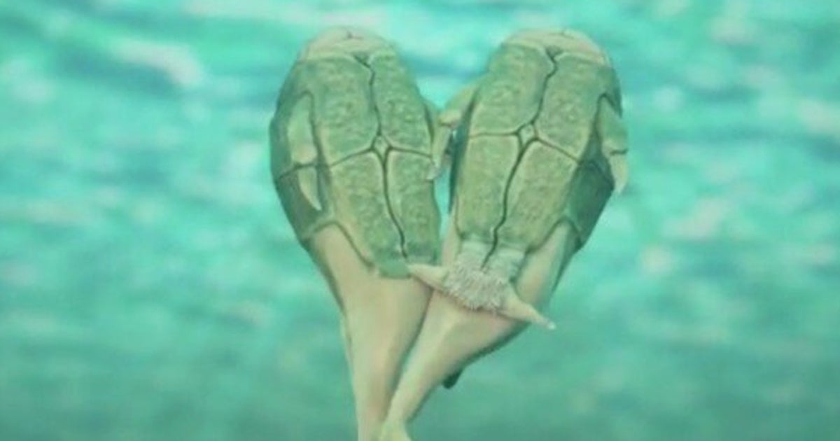 Microbrachius Dicki, Ancient Plated Fish, Were The First Creatures To ...