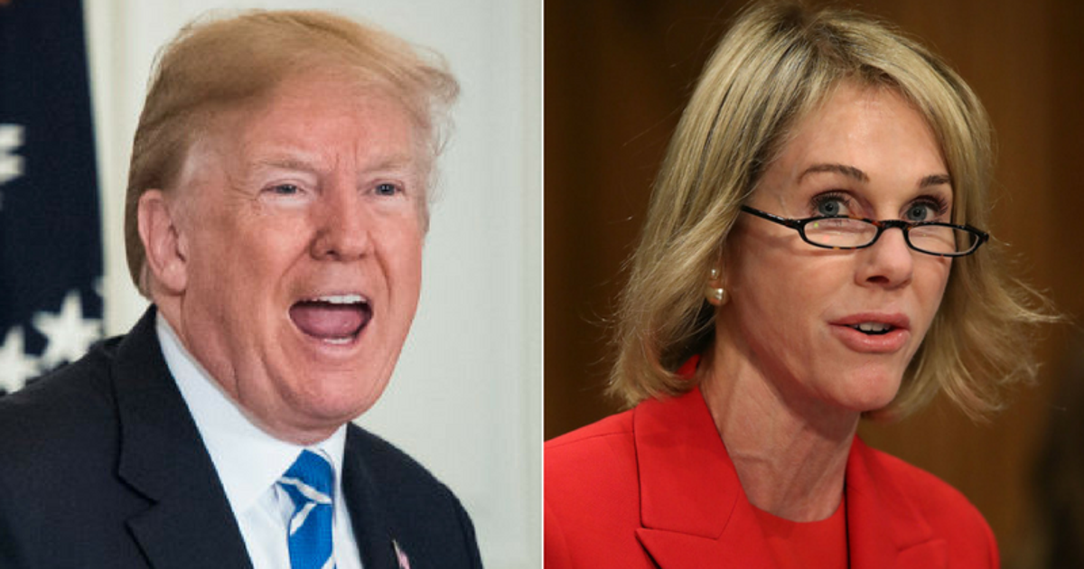 U.S. Ambassador Kelly Craft Says Donald Trump Isn’t Great At Making ...