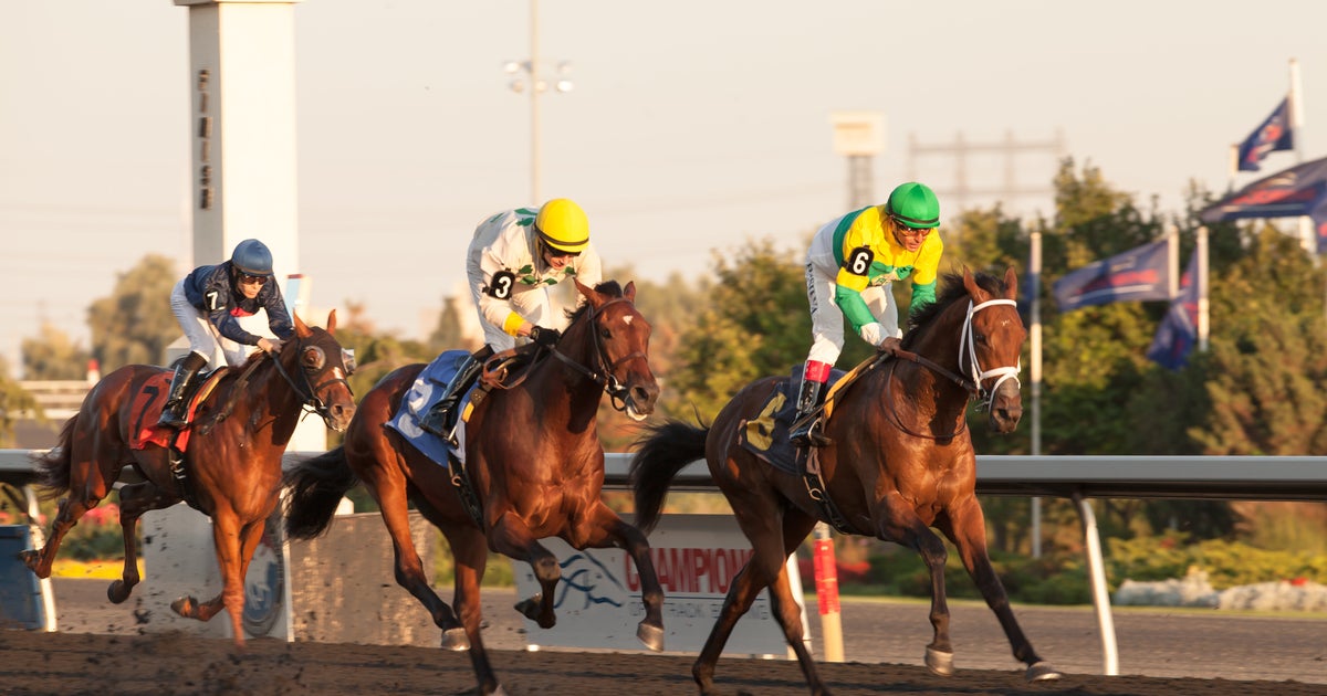 5 Things You Never Knew You Could Do At The Racetrack | HuffPost Life