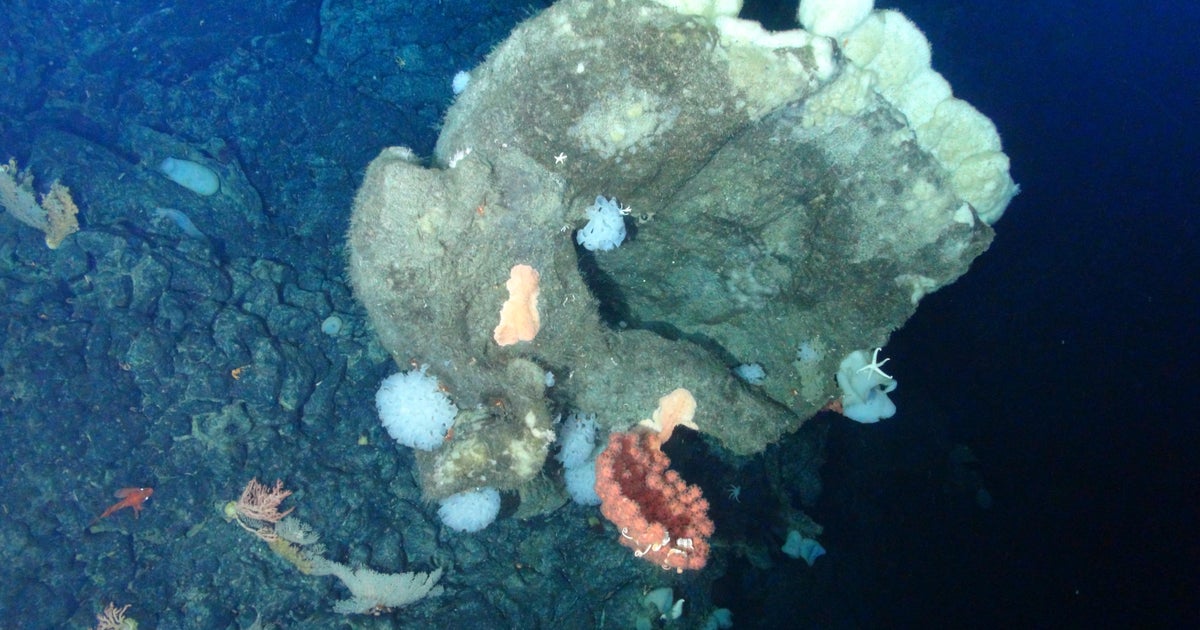 Pacific Seamounts Expedition To Unravel Canada's Underwater Mountain ...