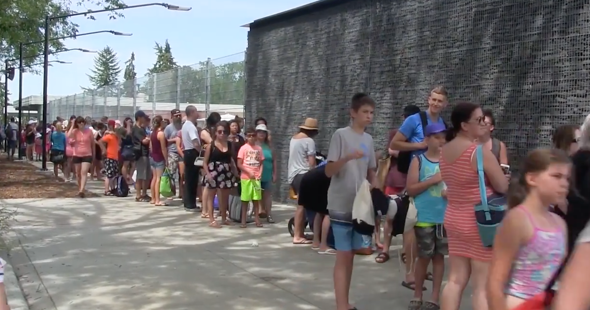 Edmonton's Borden Natural Swimming Pool Trades Chlorine For Plants ...