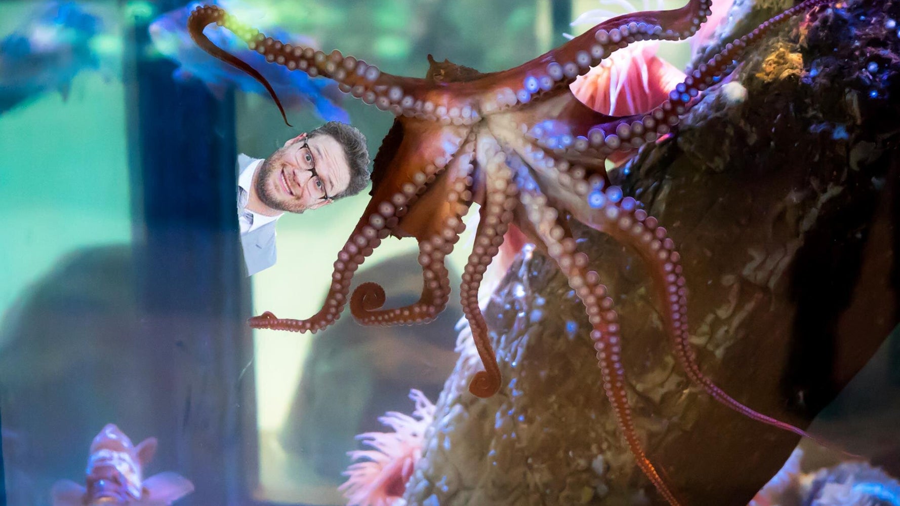 Vancouver Aquarium Names Newest Octopus After Seth Rogen HuffPost Canada British Columbia vancouver-aquarium-names-newest-octopus-after-seth-rogen-huffpost-canada-british-columbia