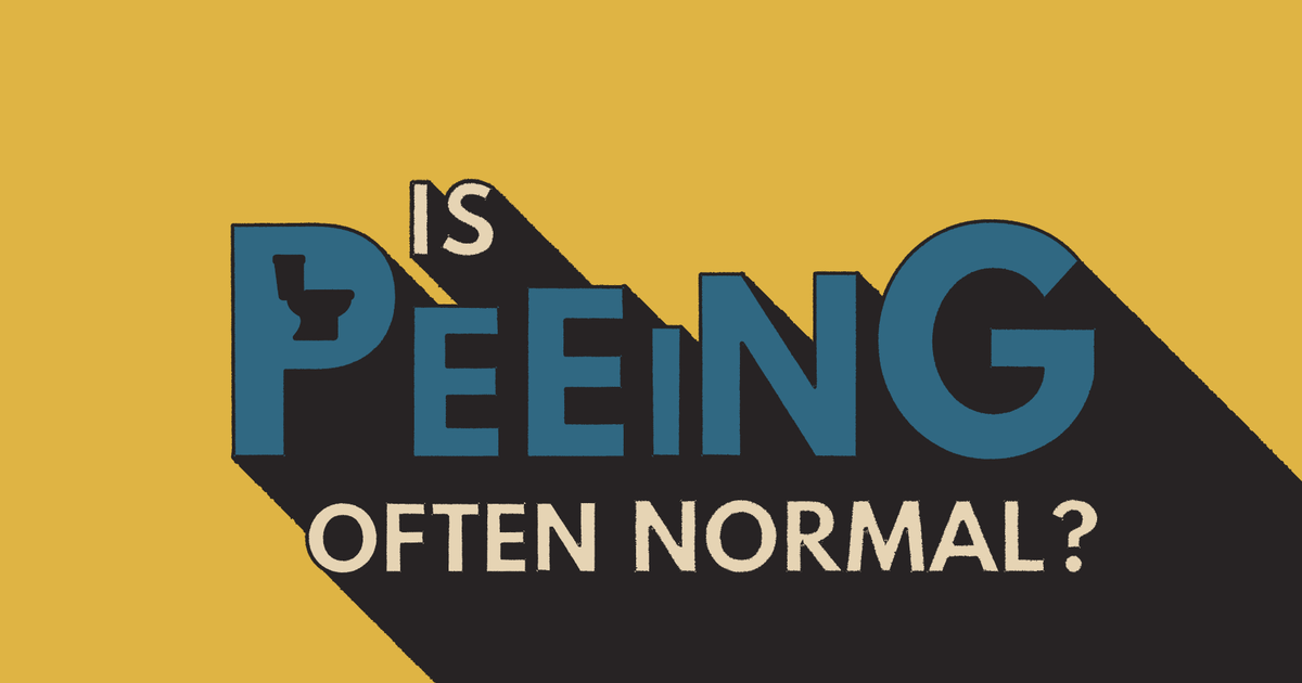 How Often Should You Pee? | HuffPost Life
