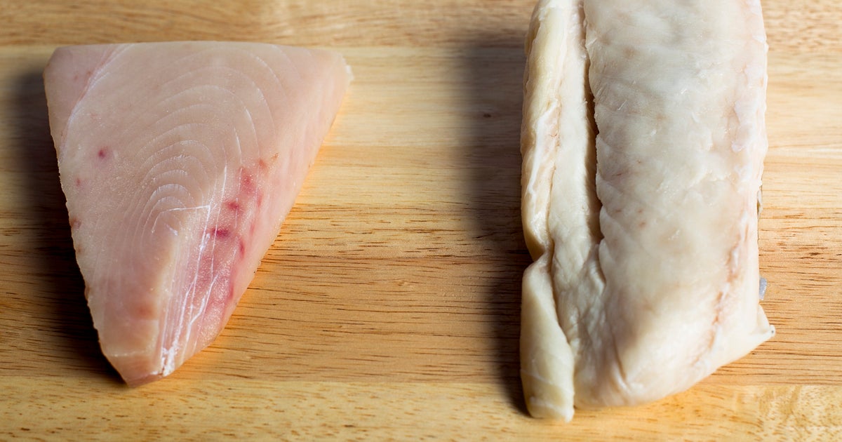 Fanshawe College Class Uncovers Fish Fraud After Testing Samples ...