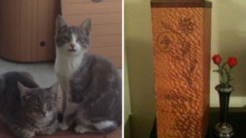 stolen urn sylvan lake