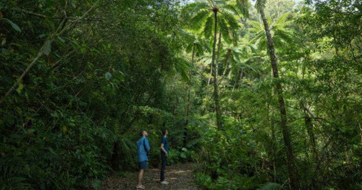 5 Key Facts And Figures To Celebrate World Environment Day | HuffPost ...