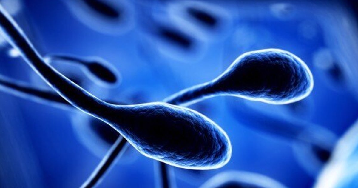 Stem Cells Part Of A Major Breakthrough In New Infertility Treatment 5932