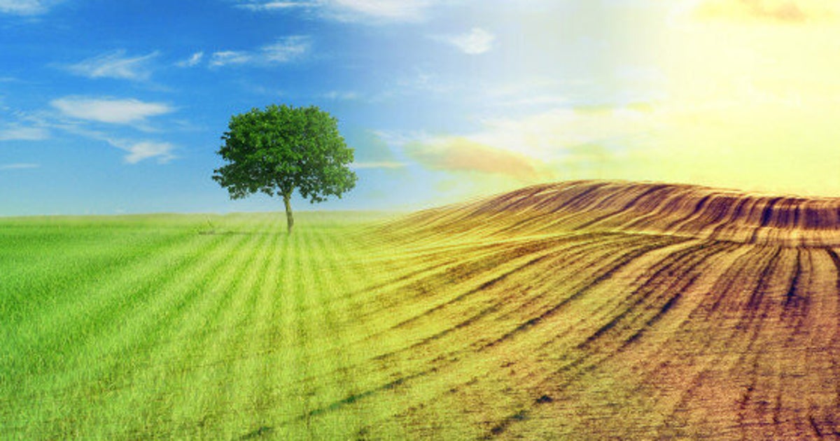 Let's Pause and Consider What Jesus Would Say About Climate Change ...