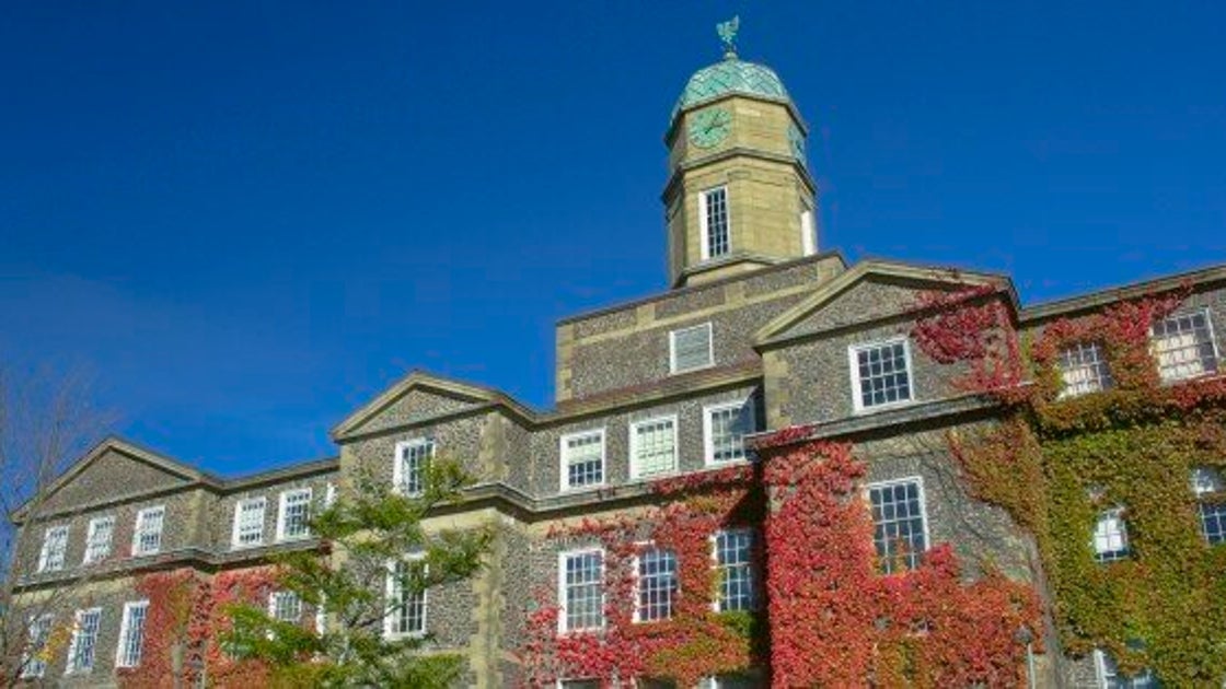 dalhousie dentistry sexual assault