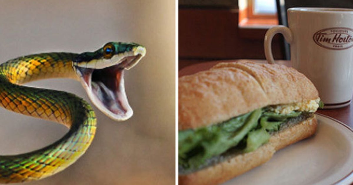 Men Throw Snake At Tim Hortons Worker Over Diced Onions | HuffPost Alberta