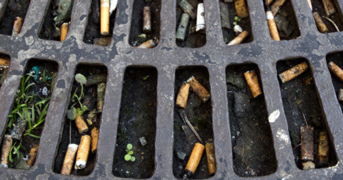 Charity Hatches Creative Solution To Take On World's Most-Littered Item ...