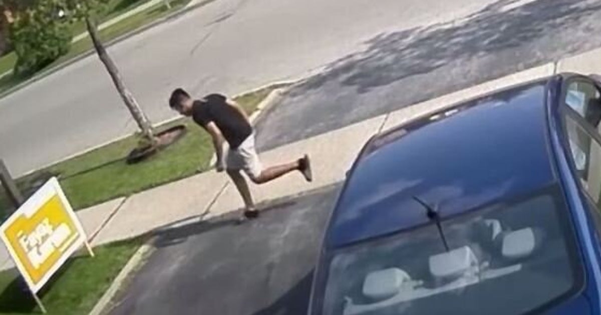 Dork Lord Throws His Body At An NDP Candidate's Lawn Signs | HuffPost ...