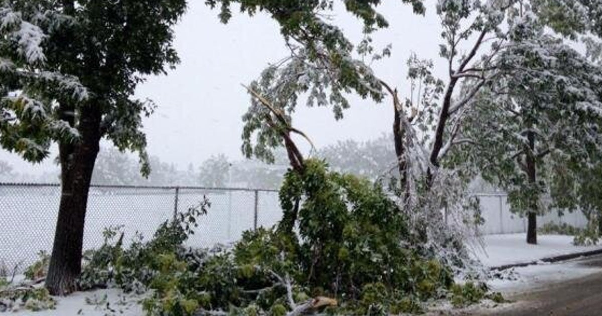 Calgary Power Outages Leave 30,000 In The Dark | HuffPost Alberta