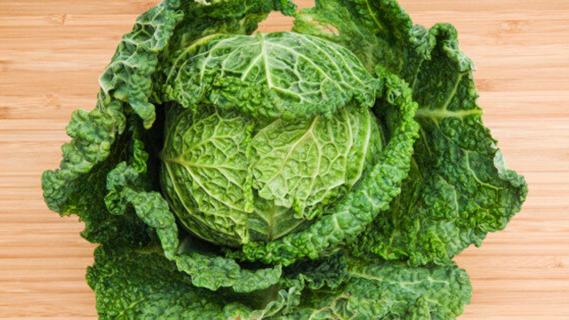 cabbage ideas