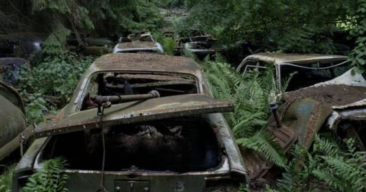 Chatillion Car Graveyard In Belgium Looks Like A Very Old Traffic Jam ...