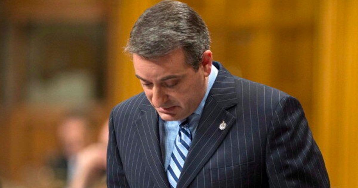 Mark Critch Pledges $1 For Every Tweet Calling Paul Calandra A 'Tool ...