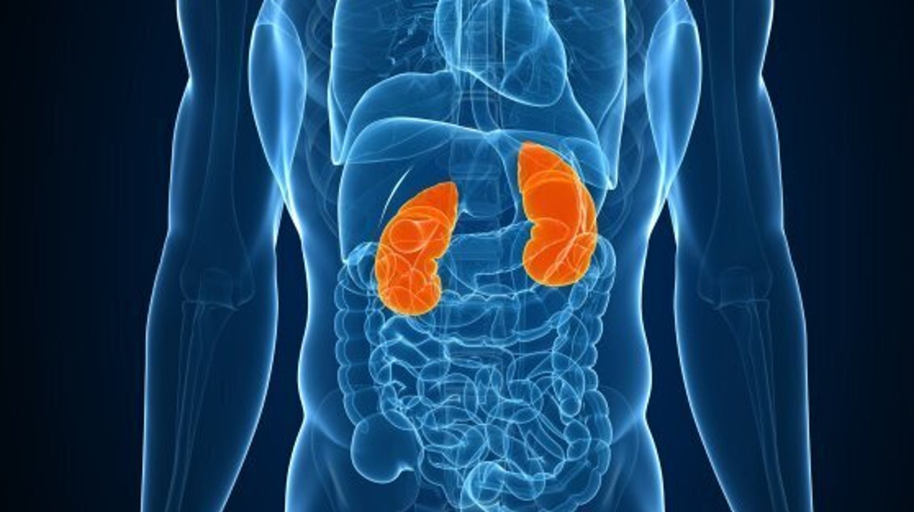 5 Simple Tips To Keep Your Kidneys Happy And Healthy | HuffPost News 5 Simple Tips To Keep Your Kidneys Happy And Healthy | HuffPost News