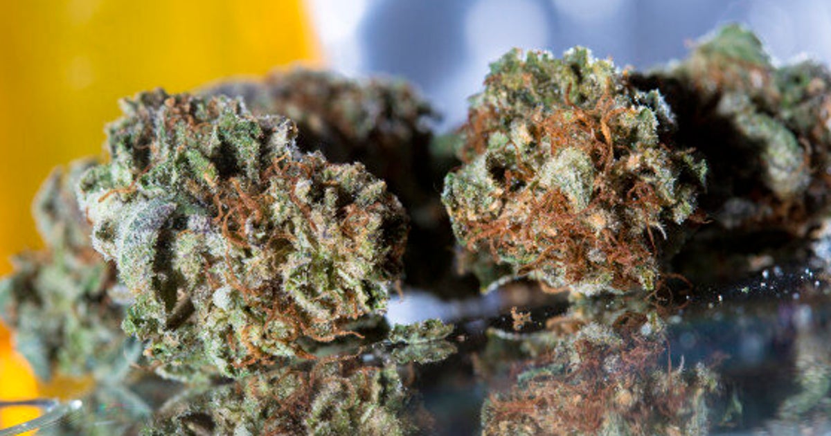 U.S. Marijuana Sales Get Really, Really High On Fridays | HuffPost Business