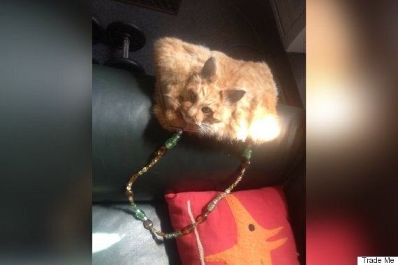 Dead Cat Handbag, Created By New Zealand Taxidermist, Sells For C$524 ...