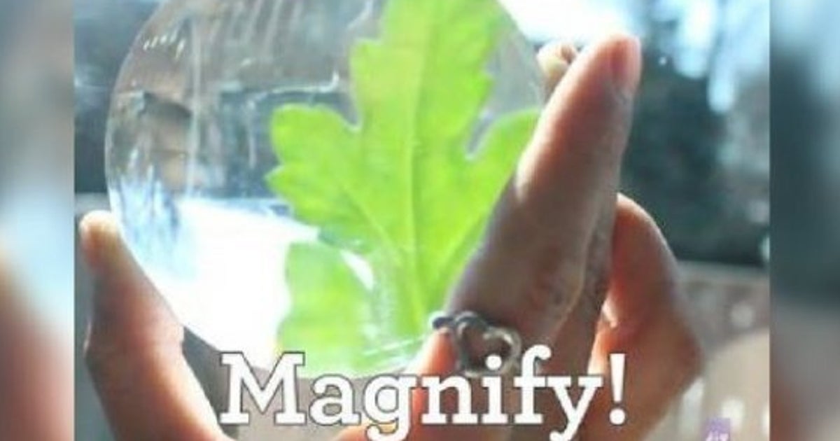 Science Experiments For Preschoolers: How To Make A Microscope ...