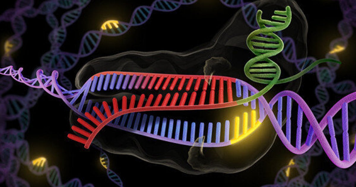 This Discovery Takes Us A Step Closer To Curing Genetic Diseases ...