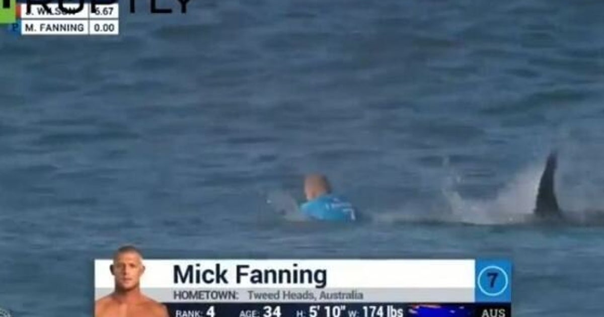 Surfer Mick Fanning Gets Attacked By A Shark, Walks Away With No ...