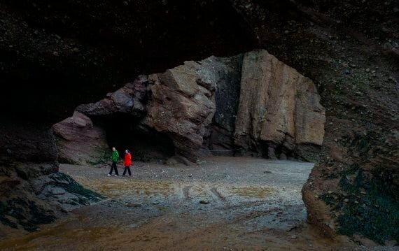 Elephant Rock Collapses In New Brunswick's Hopewell Rocks Provincial ...