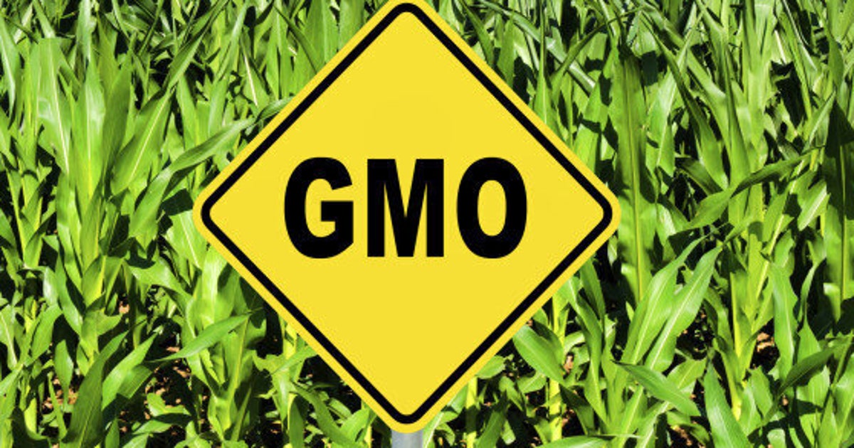 Pro-GMO Crusaders' Efforts To Silence Critics Won't Solve Hunger ...