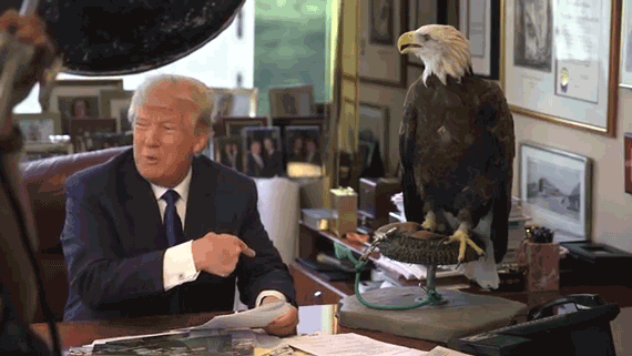 Donald Trump And Uncle Sam The Bald Eagle Have Tense Meeting | HuffPost ...
