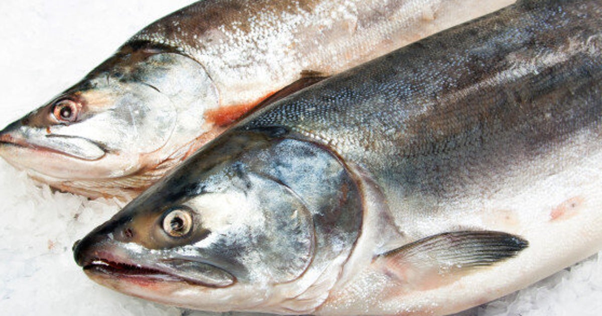What You Need To Know About GMO Salmon | HuffPost Life