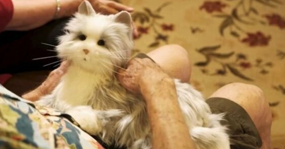 Hasbro Creates Furry Life-Like Cats For Elders | HuffPost Life