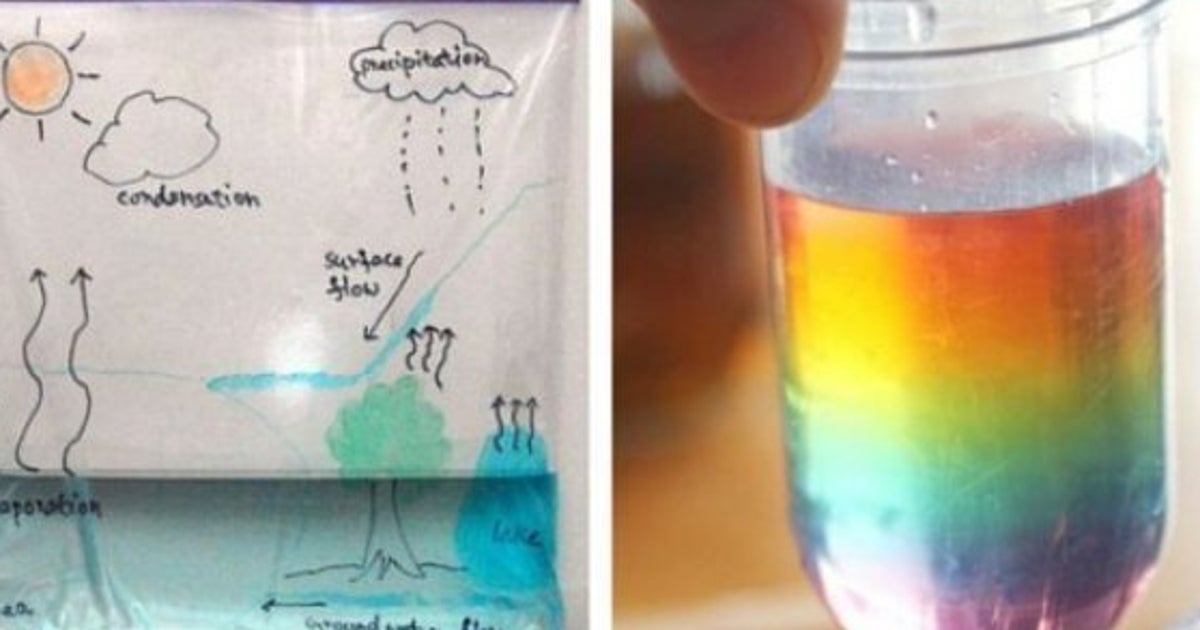 Water Experiments: Science Activities Your Kids Can Dive Into ...