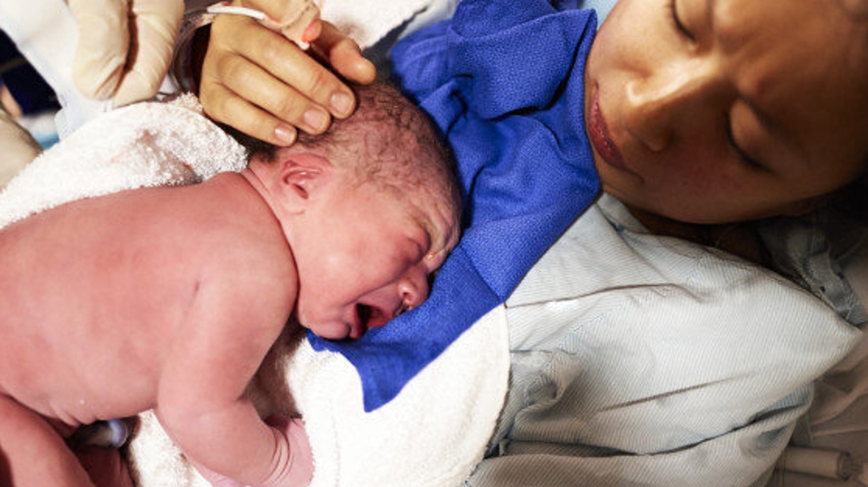 Placenta Facts: The 'Least Understood' Organ Is Pretty Freaking Amazing ...