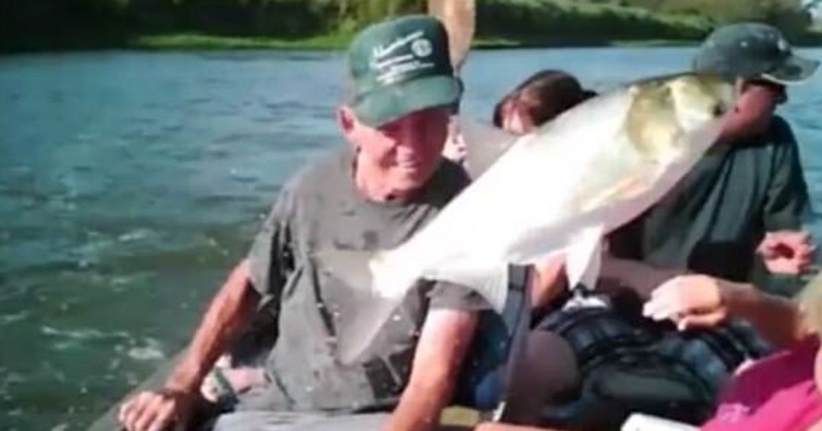 This Supercut Of Fish Hitting People In The Face Is Hilarious (VIDEO ...