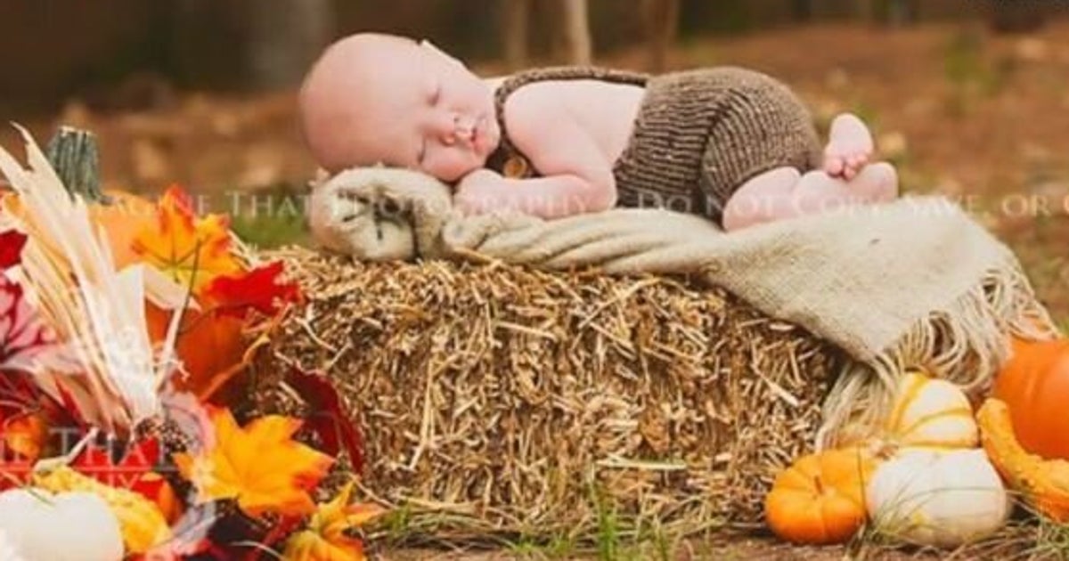 Deer Photobombs Baby Photo And The Results Are Magical | HuffPost Parents