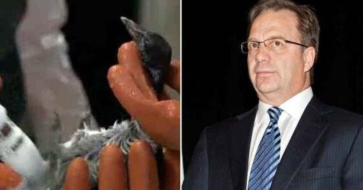 Cold Lake Bitumen Leak: CNRL Sorry For Damage, Poor Communication, As ...