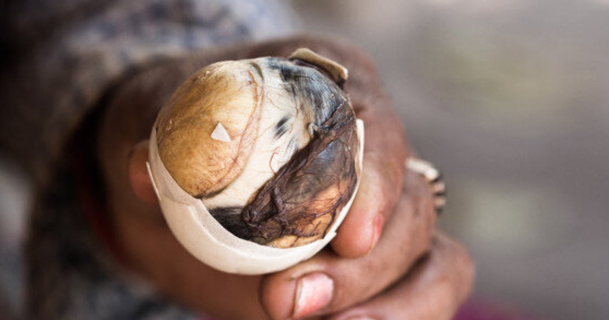 Half-Born Chicks, And Other Unusual Meats Eaten In Canada (PHOTOS ...